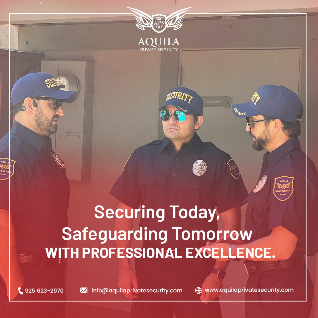 Expert Guidance and Solutions: Security Consulting Services - Aquila Private Security